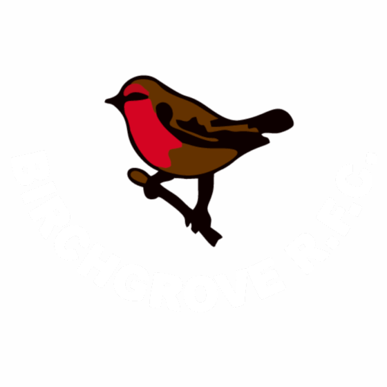 Home - Birchgrove Rugby Club